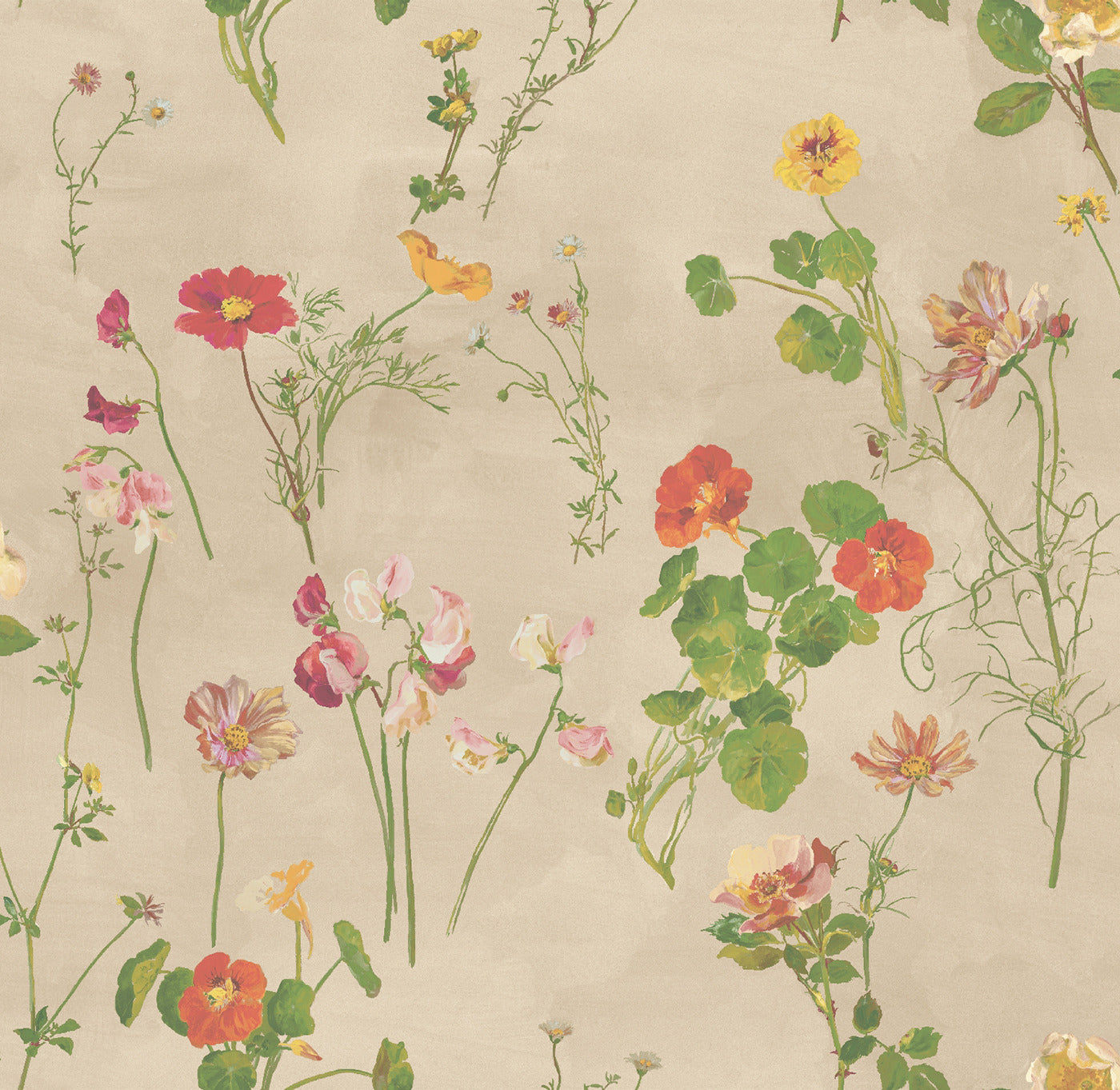 Aubrey in Putty – Rosi de Ruig